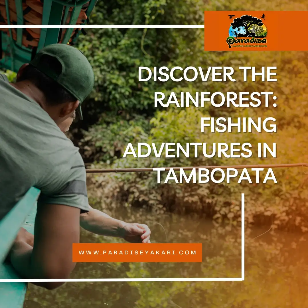 Discover the Rainforest: Fishing Adventures in Tambopata (2024)